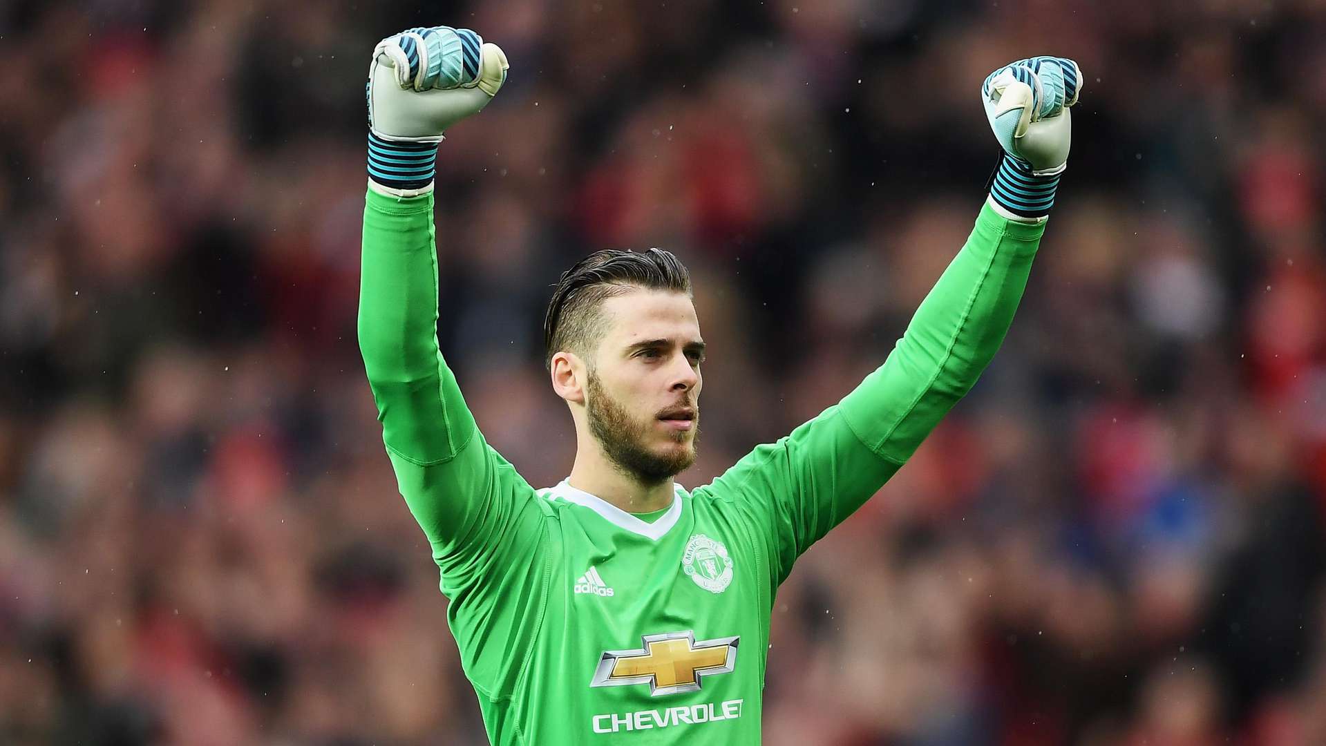 De Gea 2017-18 | Manchester United