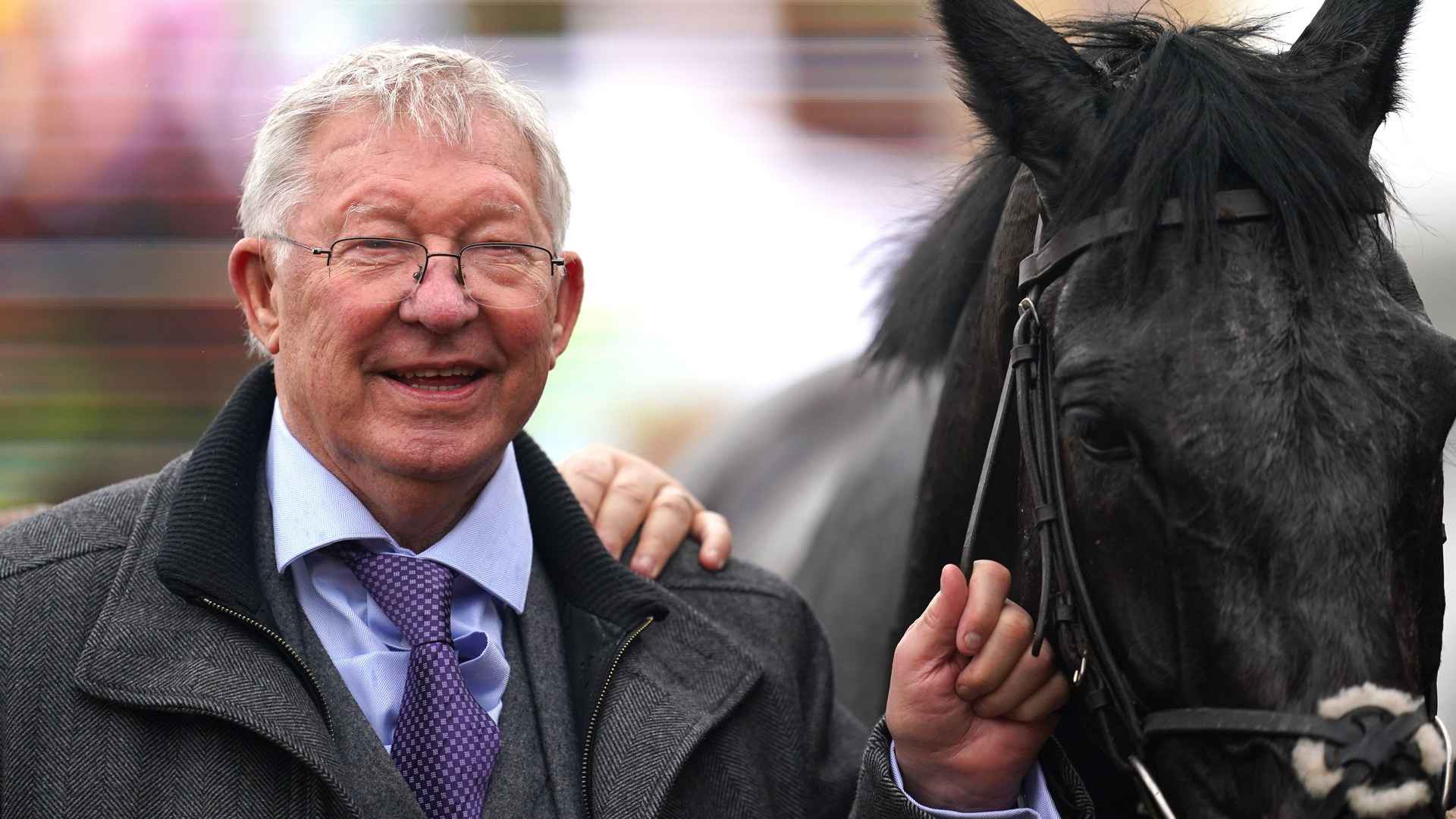 Cheltenham Festival success for Sir Alex Ferguson as two of the former ...